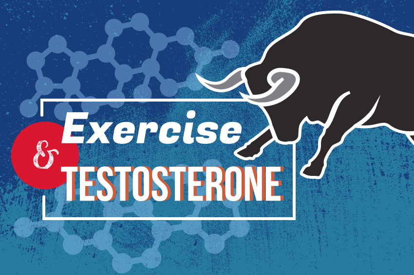 What’s the Link Between Exercise and Testosterone? | FizzUp